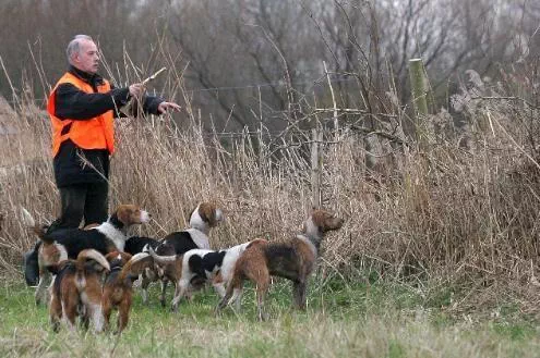 Quiz Chasse