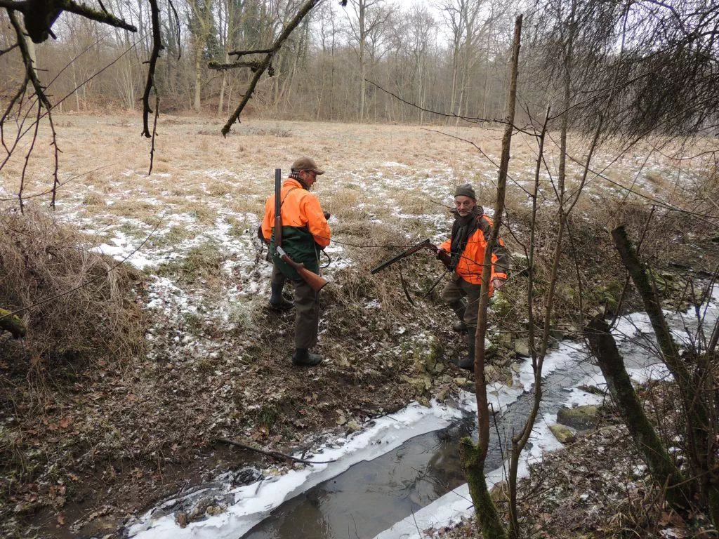 Quiz Chasse