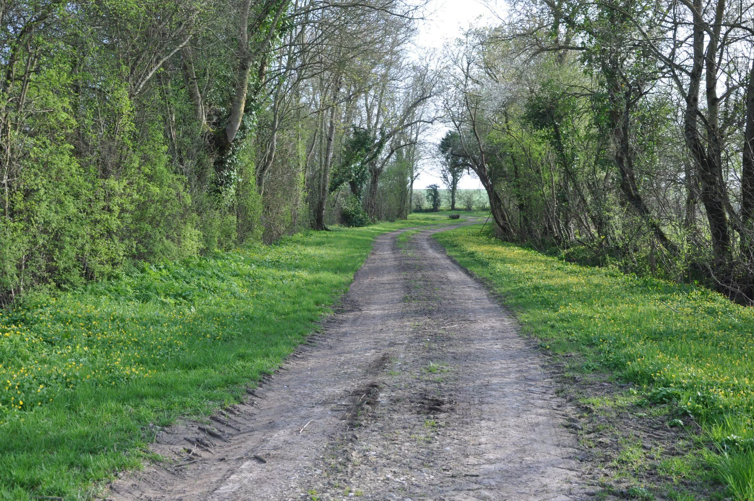 Ekosentia : Chemins ruraux, coeur de biodiversité - Fédération ...