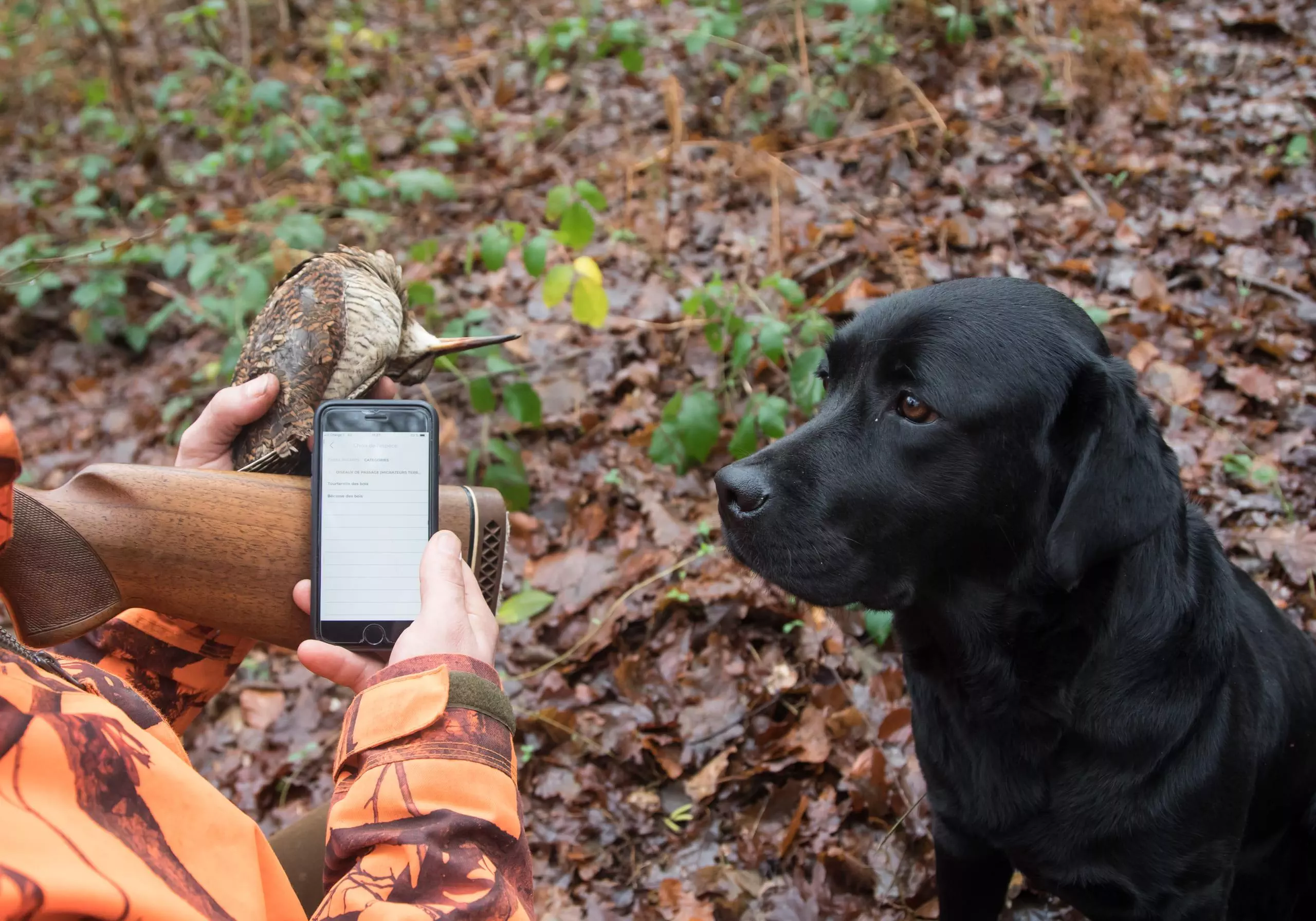La FNC lance une enquête nationale sur les prélèvements de toutes les ...