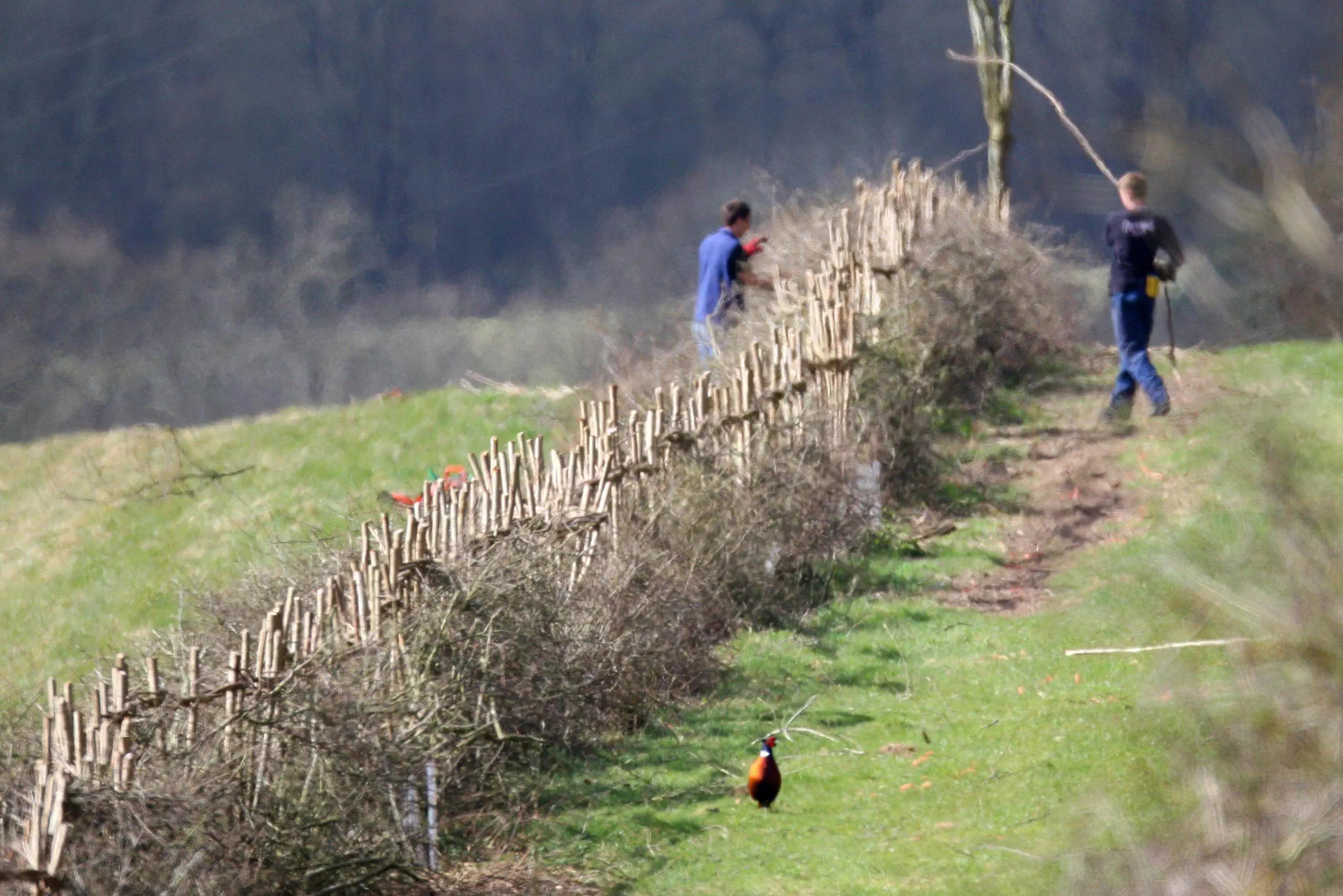 Les chasseurs : les gardiens d’une biodiversité menacée | FNC