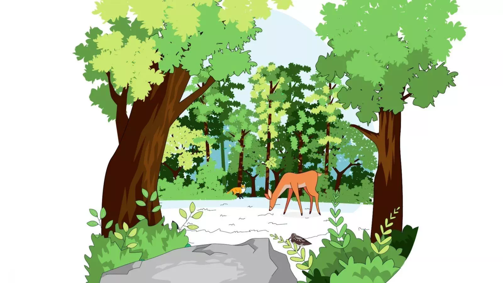 Découvrez la Chasse et la Biodiversité en Photo et Vidéo | FNC